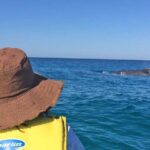 Noosa: Epic Whale Watching On Ocean Kayaks & Beach 4X4 Tour - The Scenic 4X4 Beach Drive