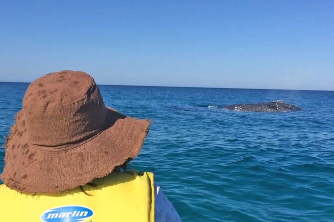 Noosa: Epic Whale Watching On Ocean Kayaks & Beach 4X4 Tour - The Scenic 4X4 Beach Drive