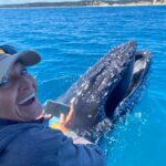 Noosa; Noosa Ocean Adventures - Whale Watching - The Authentic Noosa Whale Watching Experience