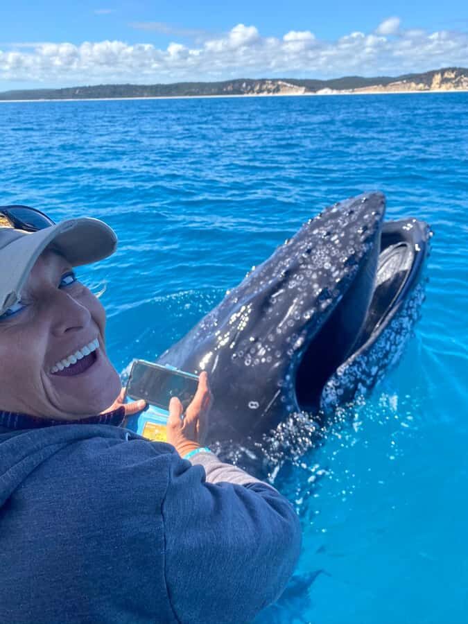 Noosa; Noosa Ocean Adventures - Whale Watching - The Authentic Noosa Whale Watching Experience