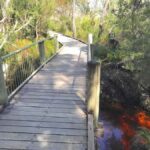 Noosa: Rainbow Beach Tour via Noosa Hinterland and Cooloola - Transportation, Timing, and Group Size