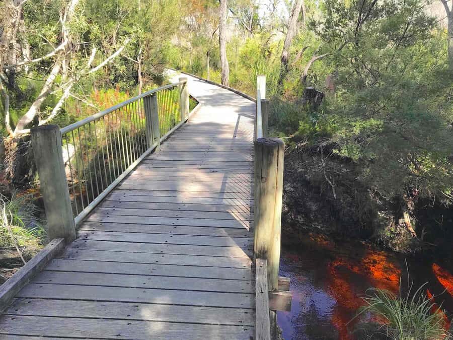 Noosa: Rainbow Beach Tour via Noosa Hinterland and Cooloola - Transportation, Timing, and Group Size