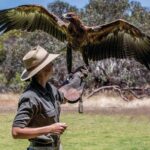 One Day Kangaroo Island Sip & See tour with return ferry transfers from Adelaide - What We Think About the Value