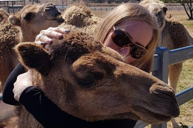 One Hump Camel Farm and Wine Tour - Authentic Experiences and Hidden Gems