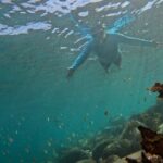 One on One Snorkel Experience - What to Expect on the Tour