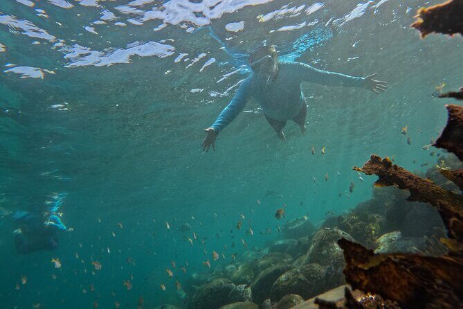 One on One Snorkel Experience - What to Expect on the Tour
