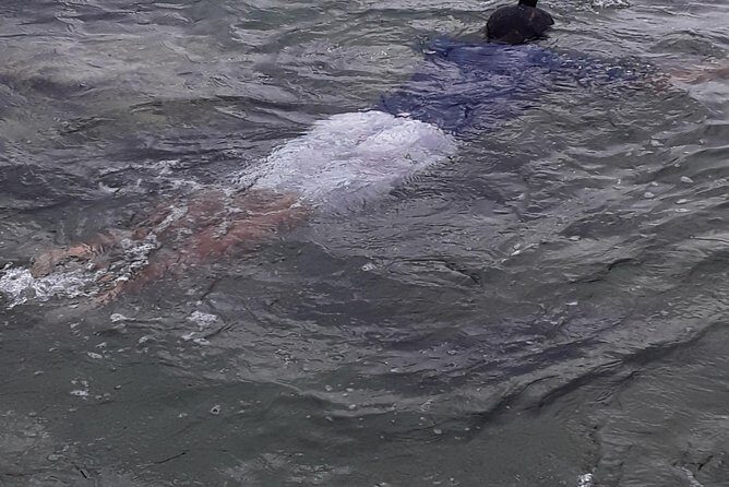 Other side of heaven Eco friendly snorkeling adventure - How the Price Reflects the Experience