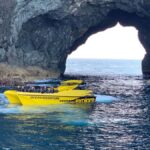 Paihia: Hole in the Rock Fast Boat with Island Stopover - What Makes this Tour Stand Out