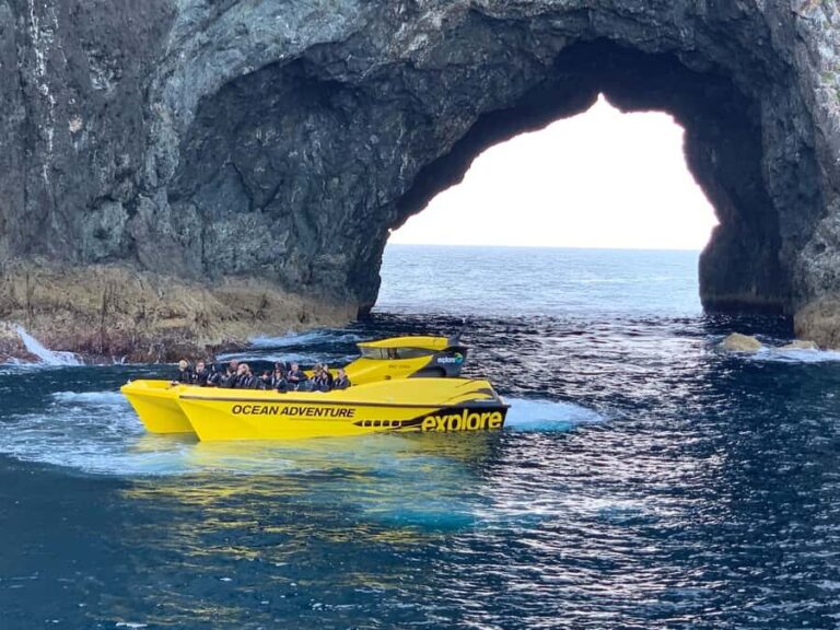 Paihia: Hole in the Rock Fast Boat with Island Stopover - What Makes this Tour Stand Out