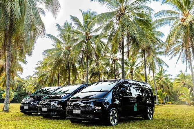 Palm Cove to Port Douglas ONE WAY Private Transfer 6 pax - FAQ