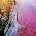 Perth: 4-Day Monkey Mia Pink Lake Coastal Loop Comfort Tour - Exploring the Itinerary in Depth