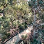 Perth: Kings Park Botanicals & Beyond Guided Hike - The Guide: Knowledge & Approach