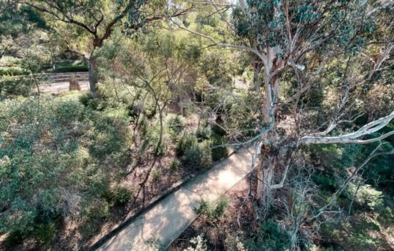 Perth: Kings Park Botanicals & Beyond Guided Hike - The Guide: Knowledge & Approach