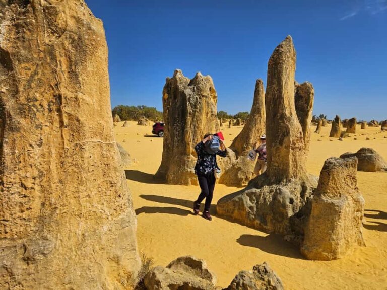 Perth: Pinnacles Desert & Sand Dunes Private Day Tour - Practical Details and Tips