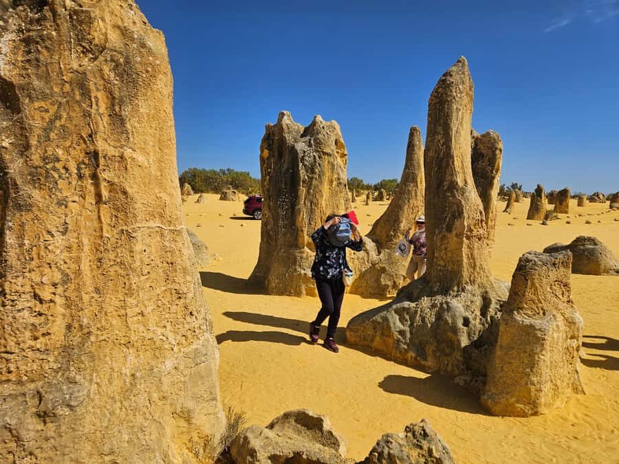 Perth: Pinnacles Desert & Sand Dunes Private Day Tour - Practical Details and Tips