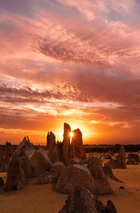 Perth: Pinnacles Desert Sunset and Stargazing with Dinner - An Introduction to the Experience