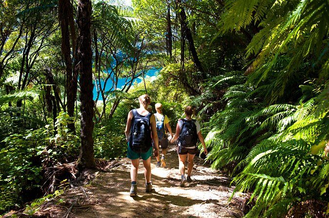 Picton Shore Excursion Kaipupu Sanctuary Water Taxi - The Sum Up: Why You’ll Love This Experience