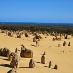 Pinnacle Day Adventure Tour - Practical Tips for Booking and Enjoying the Tour