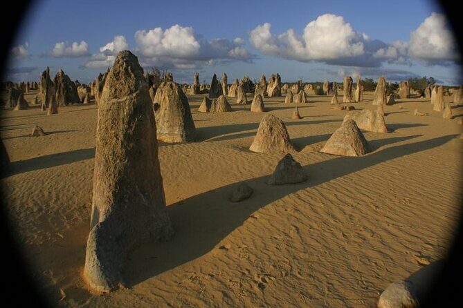 Pinnacles and Swan Valley Day Tour - Exploring the Itinerary in Depth