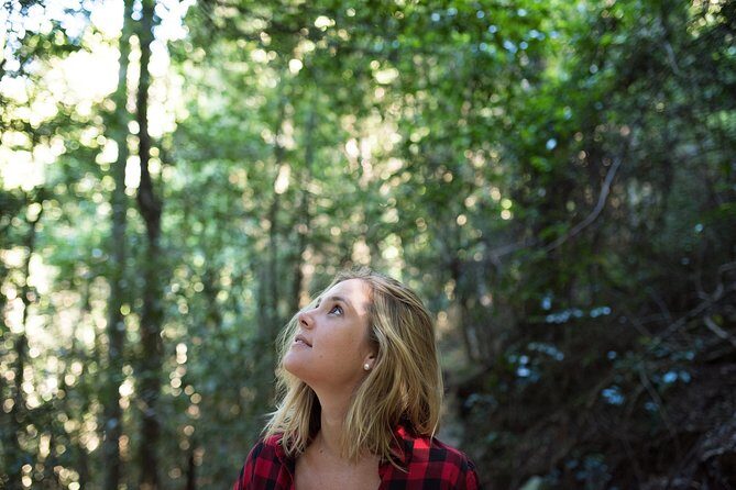 Pittwater Discovery Kayaking Tour - The Itinerary in Detail