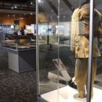 **Popular Cruiseship Tour** - Total Kiwi Experience! - Final Thoughts: Is This Tour for You?