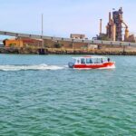 Port Adelaide: Dolphin and Maritime Cruise - Introduction: A Scenic and Educational Port Adventure