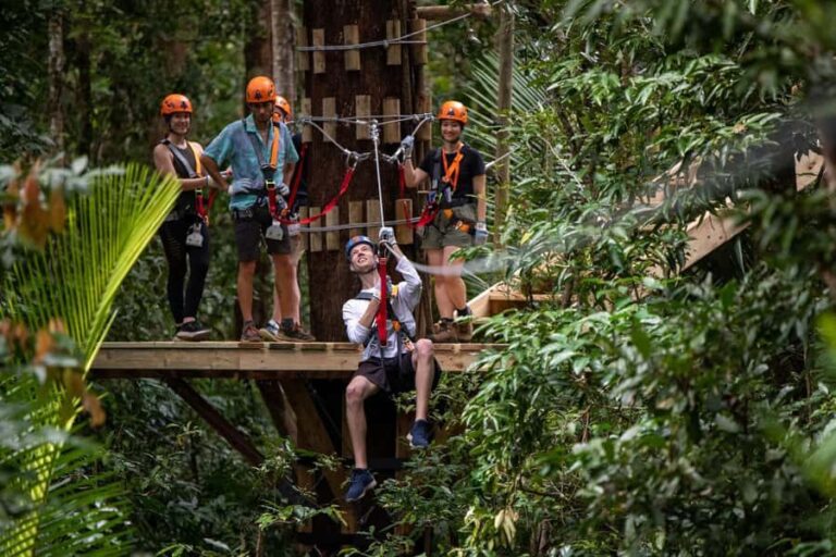 Port Douglas: Daintree Rainforest Canopy Ziplining Tour - Why Choose This Tour?