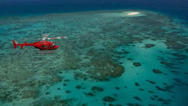 Port Douglas: Great Barrier Reef 30-Minute Helicopter Flight - The Itinerary: What You Can Expect