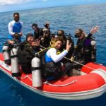 Port Douglas: Outer Barrier Reef Snorkel and Dive Options - Deep Dive into the Itinerary