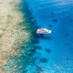 Port Douglas: Poseidon Outer Barrier Reef Dive and Snorkel - An Honest Look at the Experience