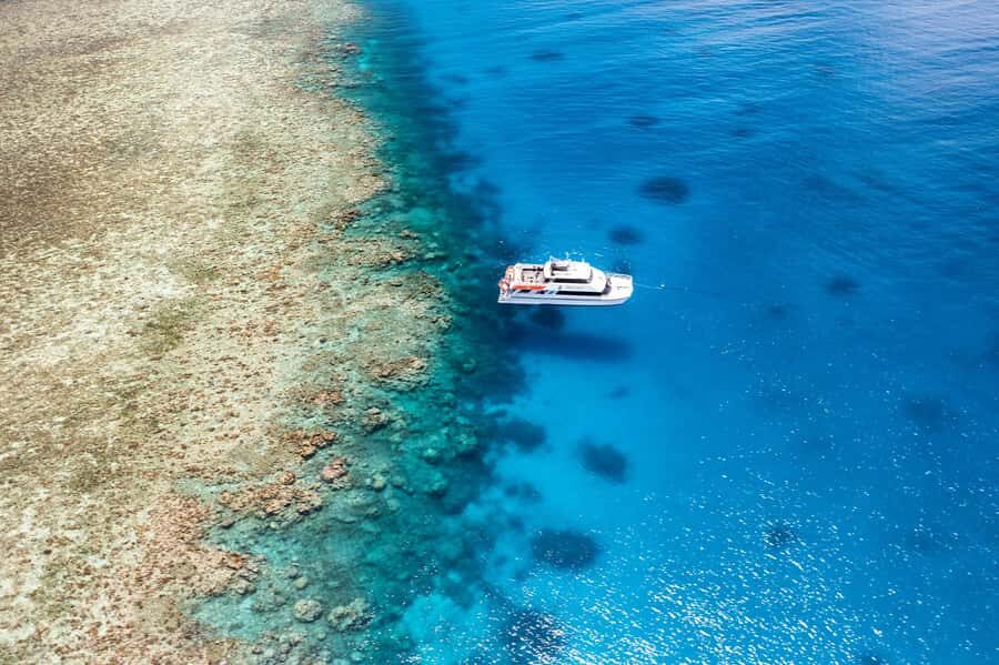 Port Douglas: Poseidon Outer Barrier Reef Dive and Snorkel - An Honest Look at the Experience