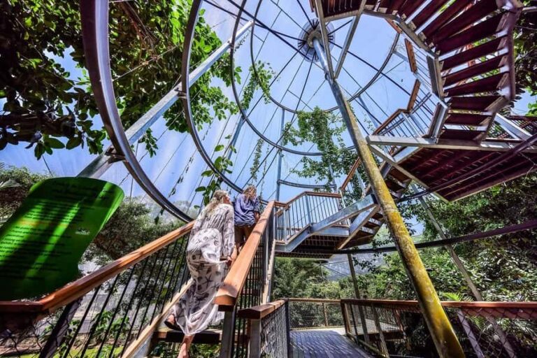 Port Douglas: Wildlife Habitat Entrance Ticket - What to Expect When You Arrive