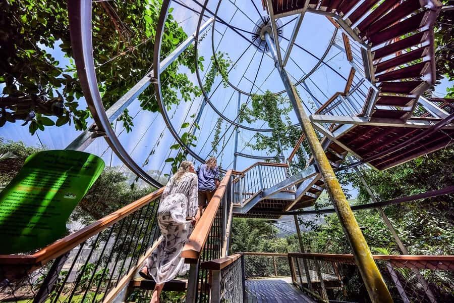 Port Douglas: Wildlife Habitat Entrance Ticket - What to Expect When You Arrive