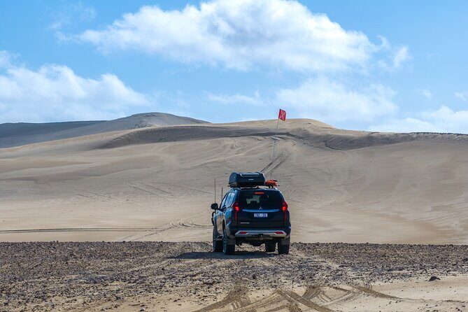 Port Lincoln National Park Half day Tour - In-Depth Tour Breakdown