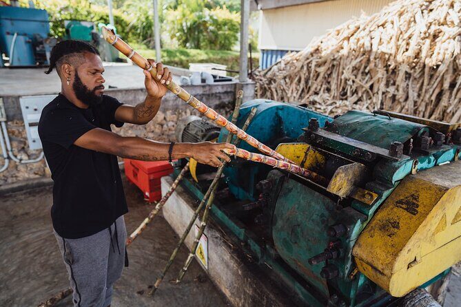 PortVila Distillery Experience at 83Islands Distillery, Vanuatu - Why This Tour Stands Out