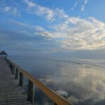 Premier Transfers and Tours Fiji - Final Thoughts: Is This the Right Transfer for You?