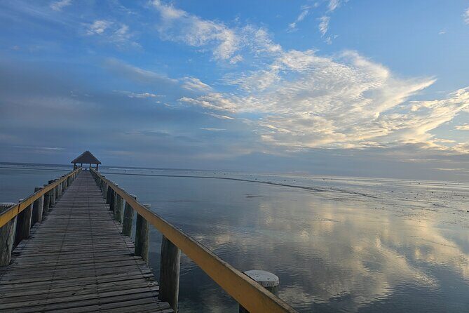 Premier Transfers and Tours Fiji - Final Thoughts: Is This the Right Transfer for You?