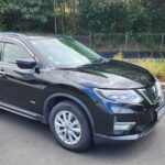 Private Airport Transfer Service Vice Versa in Wellington by SUV - Who Will Benefit Most from This Transfer?