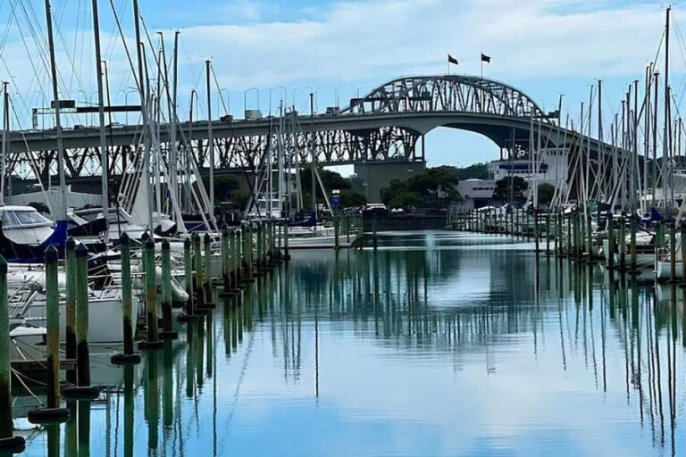 Private Auckland Best Top 5 Spots Half day Tour - What You Can Expect from This Tour