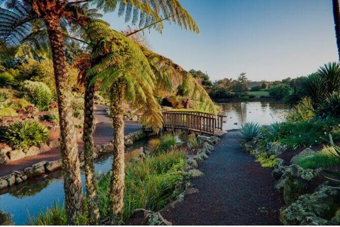 Private Auckland Full DayTour with Piha Beach(Optional/Customise) - Optional Piha Beach or Customization