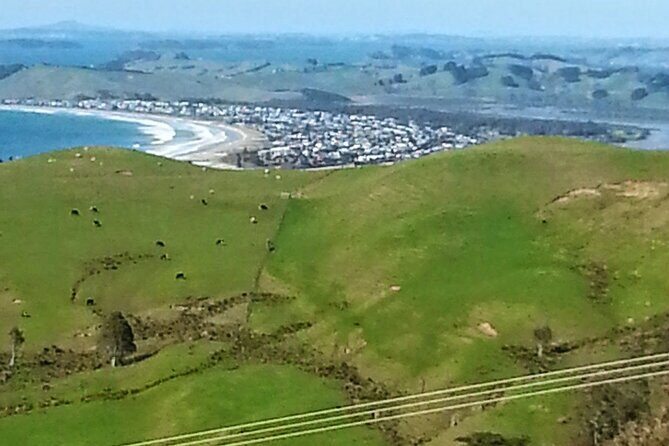 Private Auckland North Eastern Coast Tour - Who Would Love This Tour?