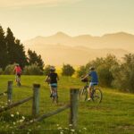 Private Biking Wine Tour (Full Day) Marlborough Region - The Itinerary Breakdown: What You Can Expect