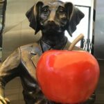 Private Cassic Walking Tour of Melbourne: start from your hotel - The Value Proposition