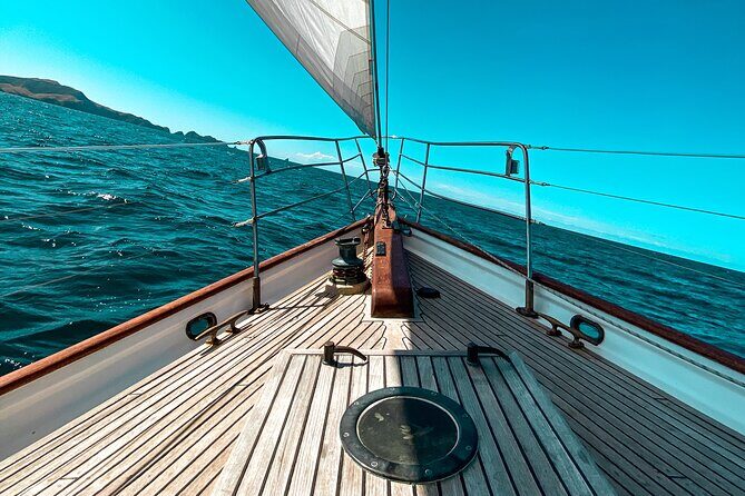 Private Charter Bay of Islands - The Highlights That Make This Tour Stand Out