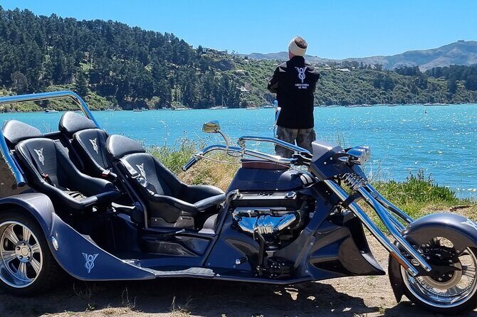 Private Cruise Ship Passengers Tour, Sightseeing in Christchurch - Why You Should Consider This Tour