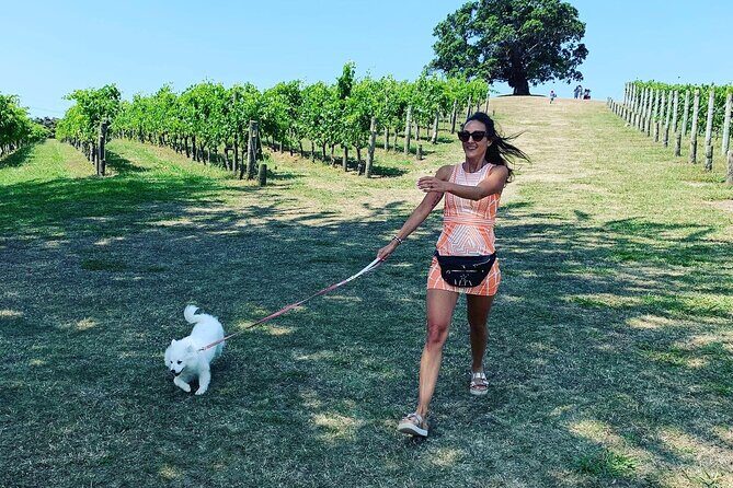 Private Dog Friendly Wine Tour with your Local Guide - Authentic Experiences and Insider Tips