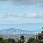 Private Driver for a Day from Auckland - Pricing and Value