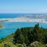 Private Dunedin & Otago Peninsula Day Tour Up to 4 - Getting a Feel for the Tour Experience