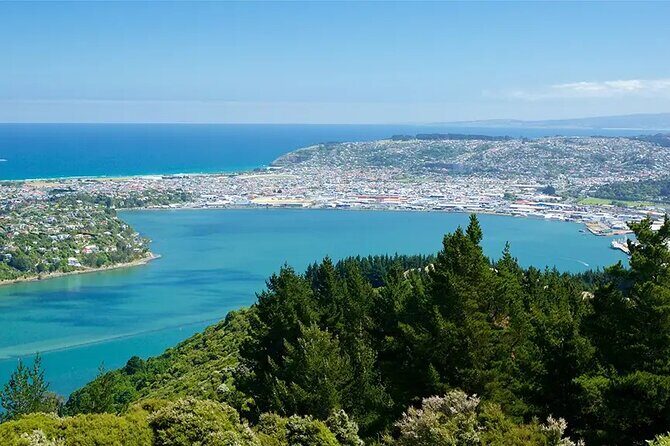 Private Dunedin & Otago Peninsula Day Tour Up to 4 - Getting a Feel for the Tour Experience