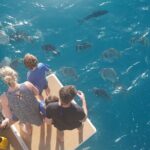 Private full day catered & crewed yacht charter- Airlie Beach - Final Thoughts: Is This the Right Choice?